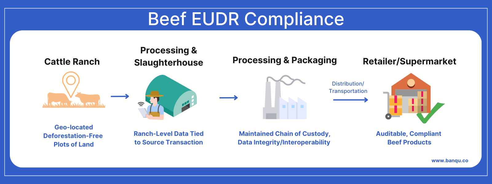 The Sustainable Leather & Beef Guide: Being Deforestation-Free